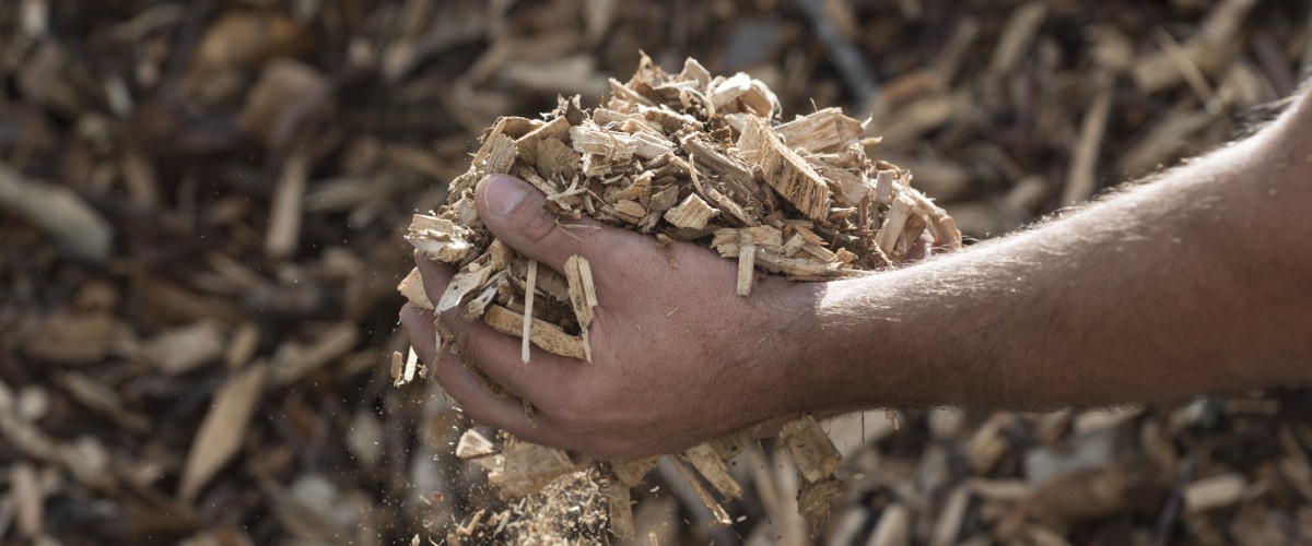 Cippato e bricchette, nuovi requisiti per l'accesso agli incentivi ...