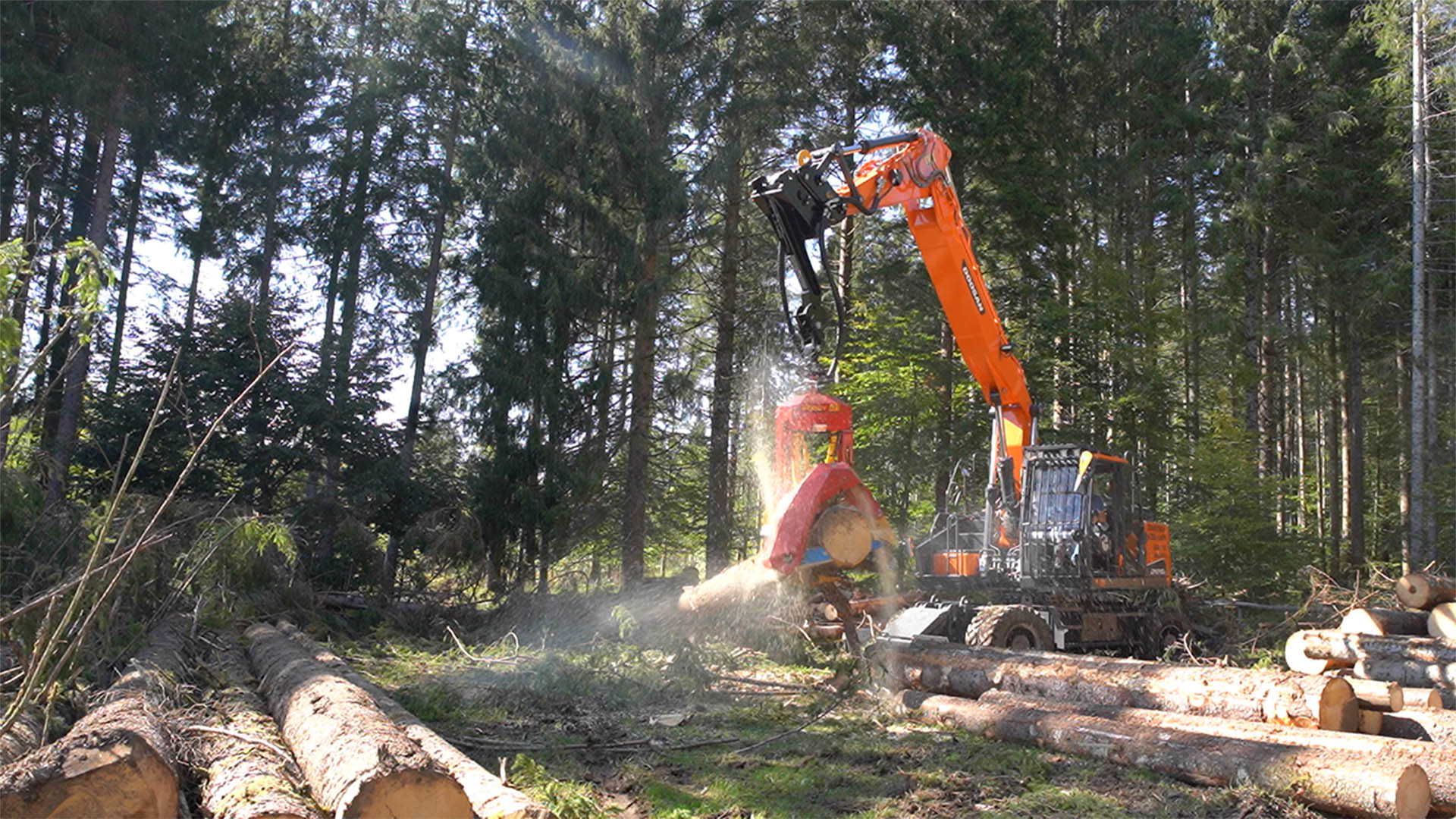 Comparto bioenergie a Pichetto Fratin: "favorire la gestione forestale ...