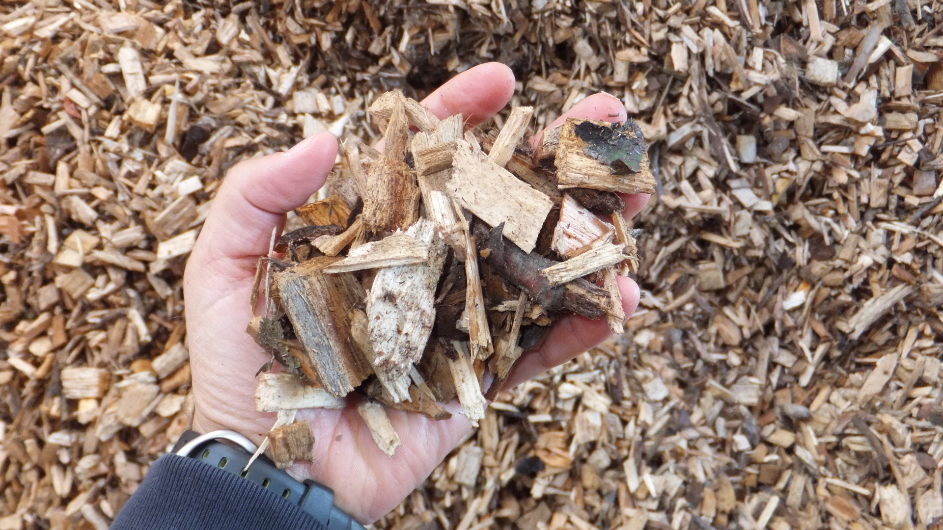 Prezzo del cippato ad aprile 2023