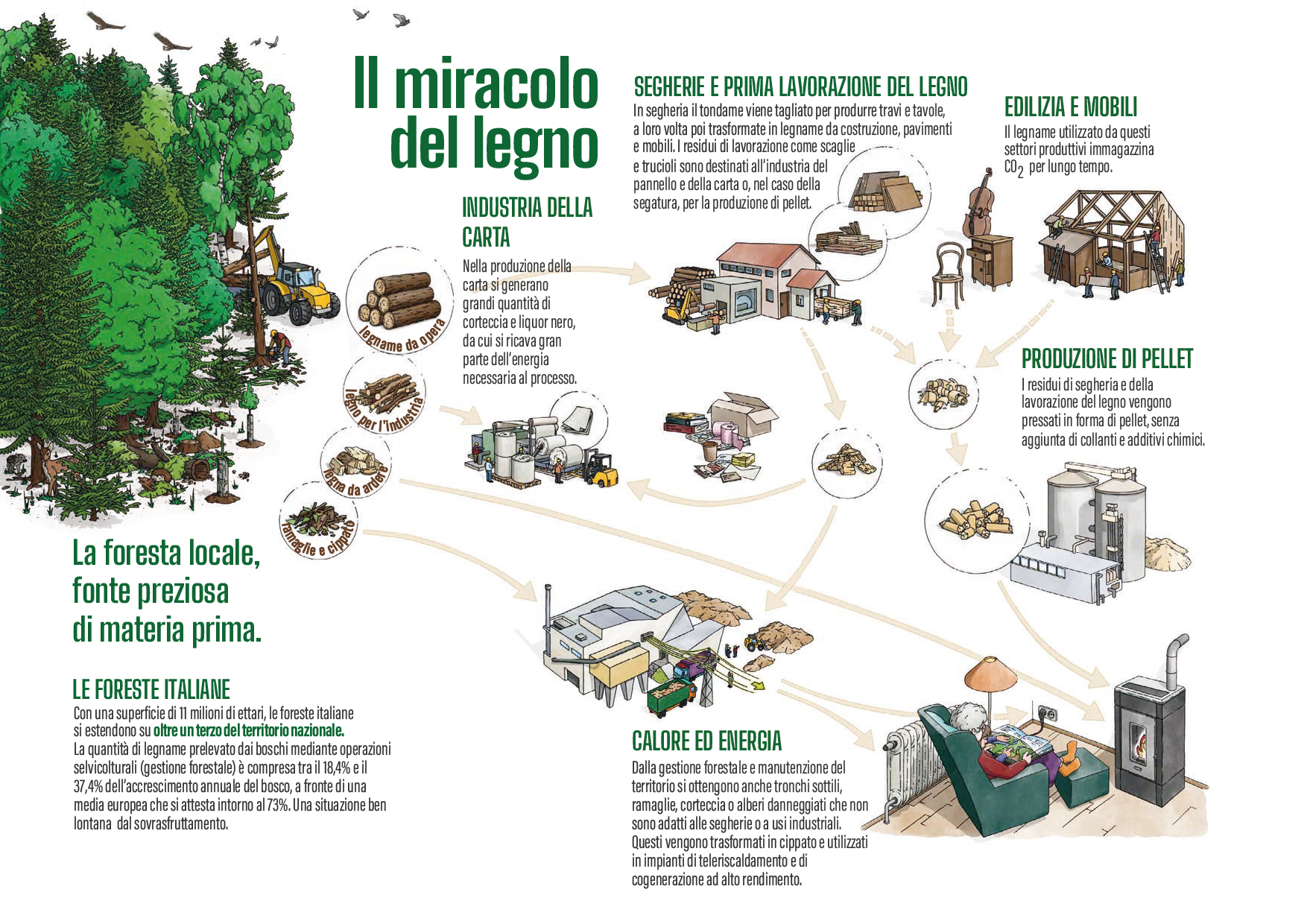 Legno: il più antico biocombustibile del futuro - Energia dal legno