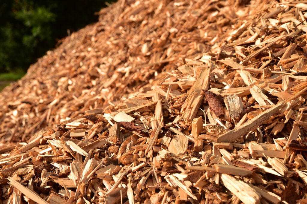 Prezzo del cippato a settembre 2024